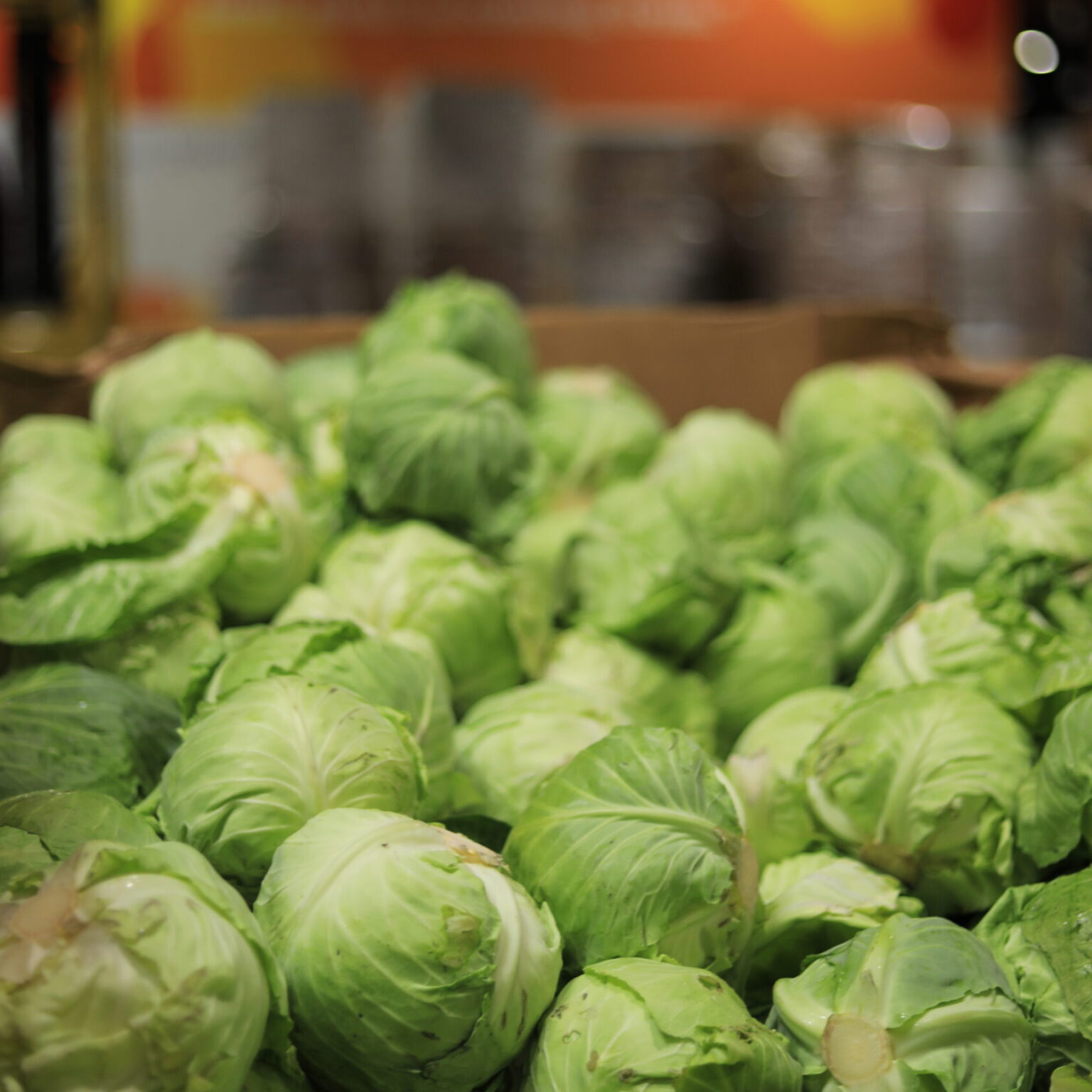 CalFresh - Food Now Program